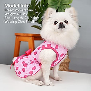 KYEESE Dog Dress Polka Dot Dog Sundress with Bowknot Dog Dresses Lightweight Pet Apparel for Small Dogs Cats Puppy Doggie Party Skirt Outfits, Pink XL