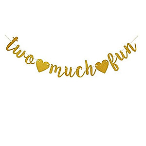 Two Much Fun Banner, Fun Sign for Baby's/Kid's/Boy's/Girl's 2nd Birthday Party Supplies, Gold Birthday Party Decorations