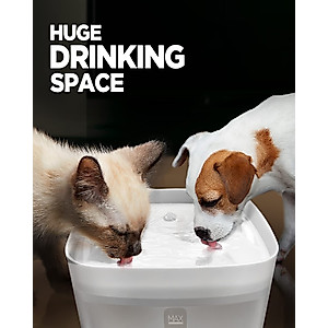 Ciays 106oz/3L Cat Water Fountain, Large Automatic Pet Fountain Dog Water Dispenser with Ultra Quiet Pump for Cats, Dogs, Multiple Pets, 3 Replacement Filters Included, White