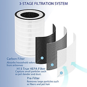 True HEPA Filter Replacement Compatible with
