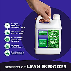 Commercial Grade Lawn Energizer Iron Nitrogen Micronutrient Booster - Liquid Turf Concentrated Fertilizer - Lawn, Garden, and Indoor Plants - Any Grass Type - Simple Lawn Solutions- 1 Quart