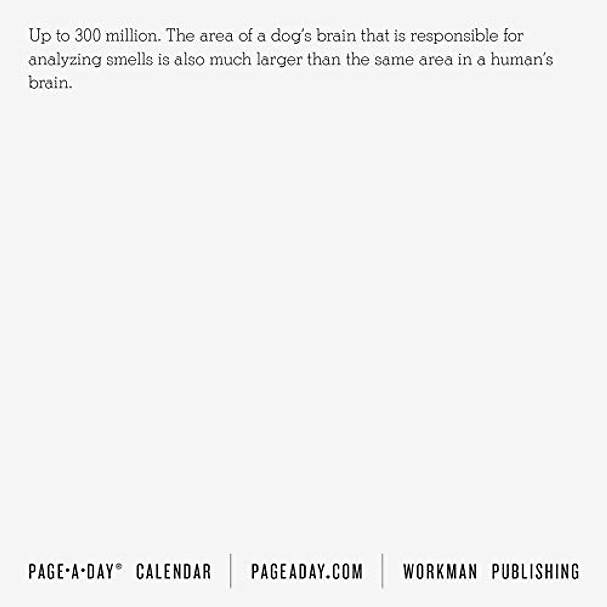 365 Days of Amazing Trivia! Page-A-Day Calendar 2021