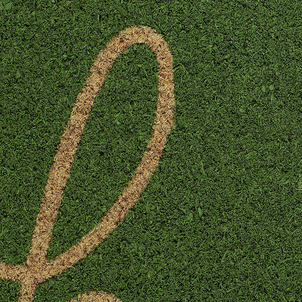 DII Hello Coir Fiber Doormat Non-Slip Durable Outdoor/Indoor, Pet Friendly, 18x30, Green Apple