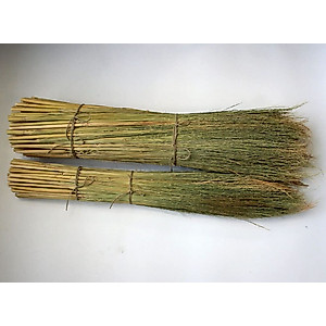 Craft Broom Corn with Stalks 24-36" Length…