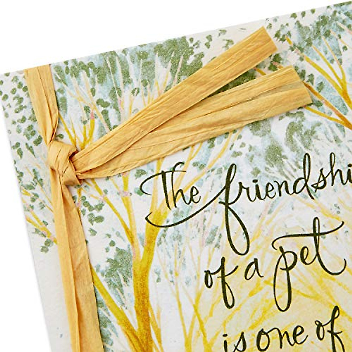Hallmark Sympathy Loss of Pet Card (Friendship of A Pet)