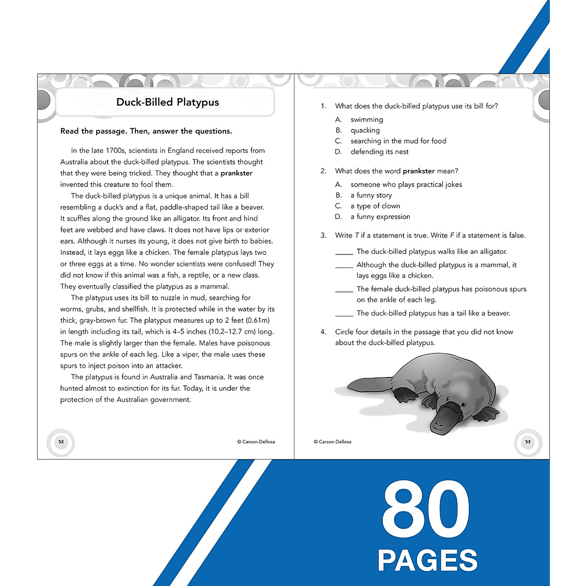 Carson Dellosa | Skill Builders Reading Comprehension Workbook | 5th Grade, 80pgs