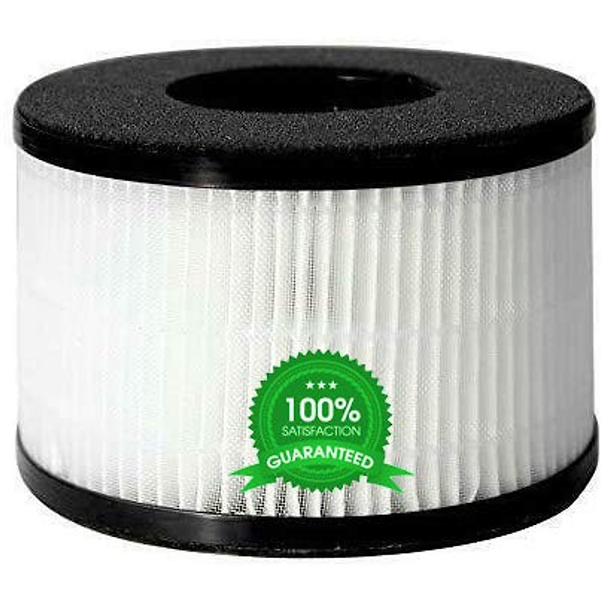 AQUA GREEN BS-03 True HEPA Replacement Filter for PARTU BS-03