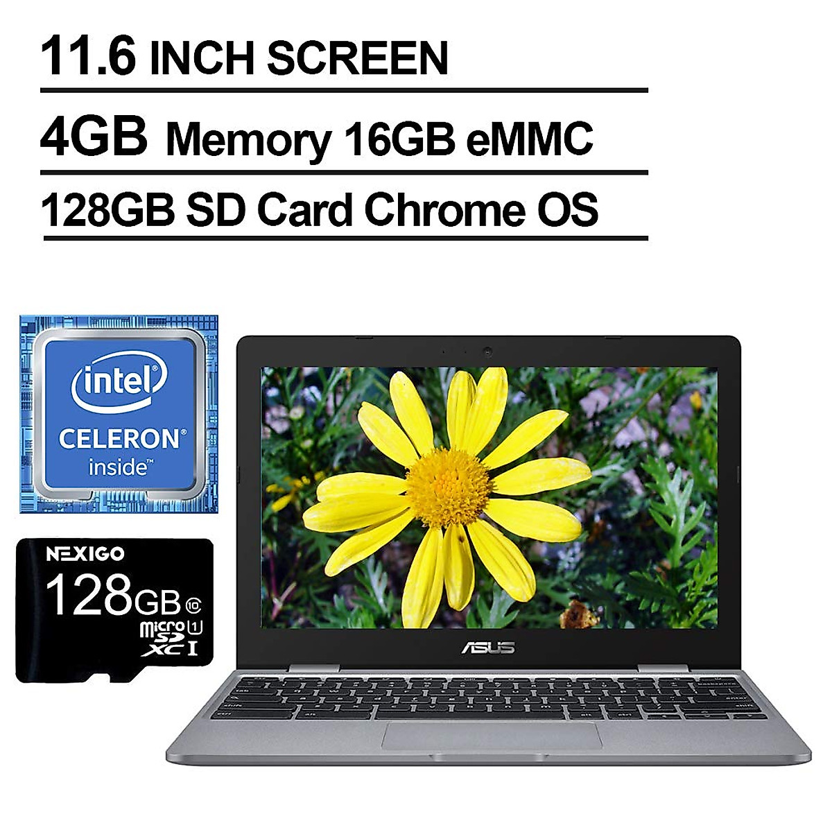 ASUS 2022 Premium Chromebook 11.6 Inch Laptop with Webcam| Intel Celeron N3350 up to 2.4 GHz| 4GB RAM| 16GB eMMC| Bluetooth| WiFi| Chrome OS + NexiGo 128GB MicroSD Card Bundle