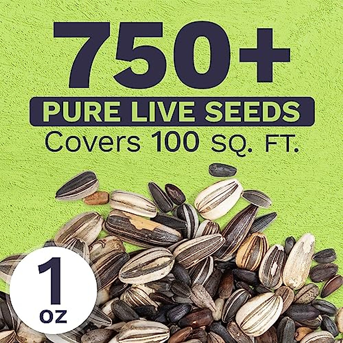 Sunflower Variety Mix 10 Types of Beautiful Sunflowers - Bulk 1 Ounce Packet - Open Pollinated Sunflower Seeds