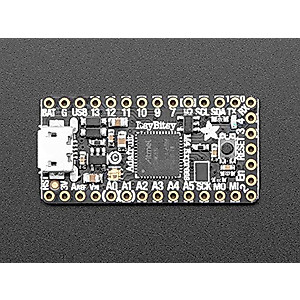 Adafruit ItsyBitsy M4 Express Featuring ATSAMD51