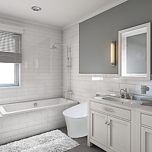 Transolid TL-77780-A Ginger 1-Piece 1.28 GPF Single Flush Elongated Bidet Toilet, White