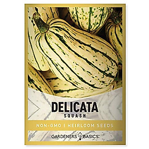 Delicata Squash Seeds for Planting - Winter Squash Heirloom, Non-GMO Vegetable Squash Variety- 3 Grams Seeds Great for Summer Garden by Gardeners Basics