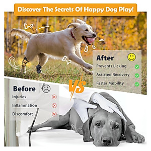 Adjustable Dog Leg Braces for Joint Support and Injury Recovery - Premium Material, Comfortable Fit, Durable Design - Ideal for Active Dogs, Large Breeds, and Elderly Pets (M-1 Pair)