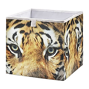 xigua Tiger Cube Storage Bin Large Collapsible Storage Basket Toys Clothes Organizer Box for Shelf Closet Bedroom Home Office, 11 x 11 x 11 Inch