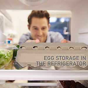 HavRixor 24 Pack Blank Egg Cartons Cheap Bulk 12 Count - Holds Up to 1 Dozen Eggs Cardboard Thickness Natural Pulp Empty Chicken Egg Boxes for Family Farm Market Fridge