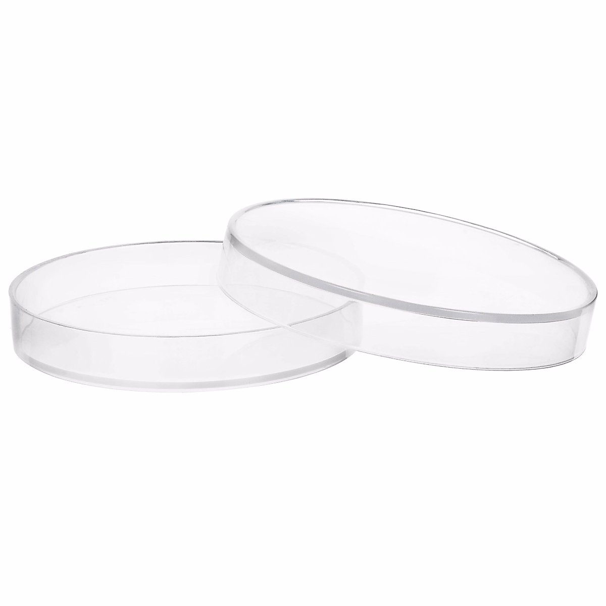 EISCO Plastic Petri Dish with Lid - 6" Diameter, 0.75" Depth - Molded in Polypropylene - Reusable, Autoclavable - Translucent