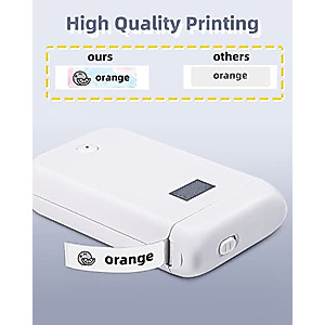 Mandizza Thermal Printer, Label Maker Machine Tape Included D10 Portable Bluetooth Connection Label Printer Multiple Templates Available for Phone Pad Easy to Use Office Home Organization