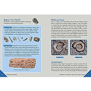Outdoor School: Rock, Fossil, and Shell Hunting: The Definitive Interactive Nature Guide