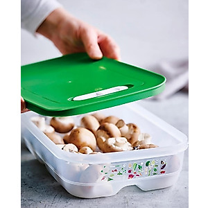 Tupperware Fridgesmart Medium Container, Sheer with Wintergreen Seal