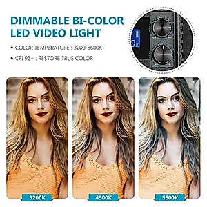 Neewer Upgraded 660 LED Video Light, Dimmable Bi-Color 3200K~5600K CRI 96+ LED Panel Light with LCD Screen, U-Mount Bracket and Barndoor for Studio Photography, YouTube Video Shooting (NL660S)
