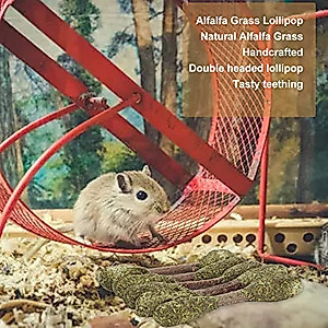 AYNEFY Hamster Chew Sticks,5Pcs Rabbit Chew Sticks Teeth Grinding Alfalfa Grass Ball Hamster Chew Toy for Rabbits Guinea Pig Chinchillas Hamster