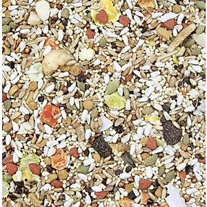 Higgins 2 Pack Safflower Gold Natural Conure & Cockatiel Food. 3 LBS. Ea Safflower Gold Natural Conure & Cockatiel Food. 2 Bags 6 Pounds Total.