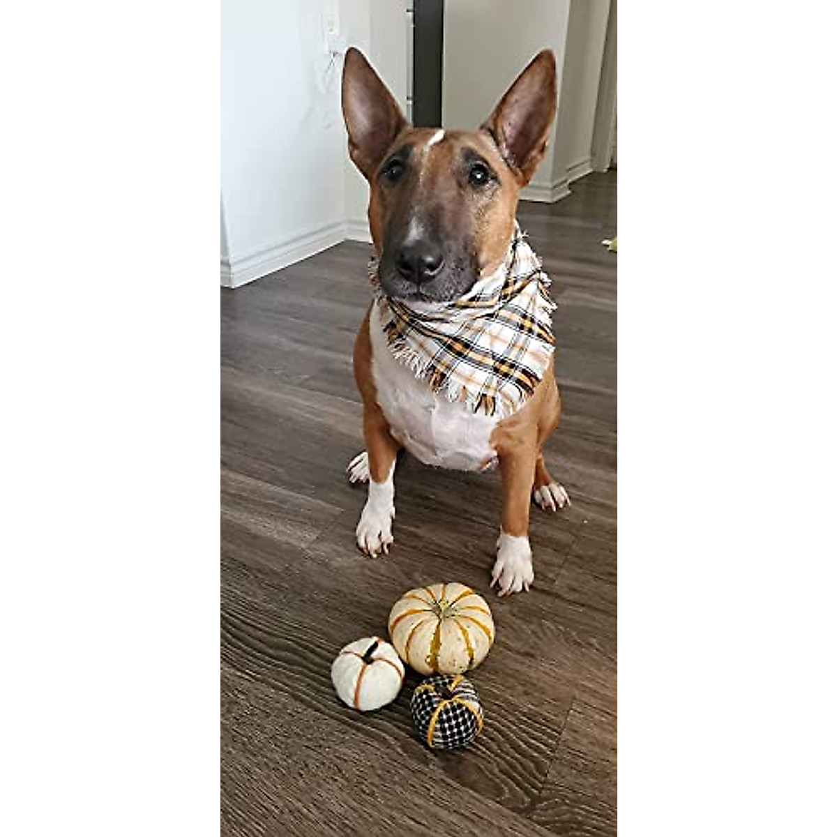 Fall Dog Bandana, Thanksgiving Dog Bandanas, Autumn Reversible Washable Plaid Triangle Bibs Scarf for Small Medium Large Pets Dogs Cats