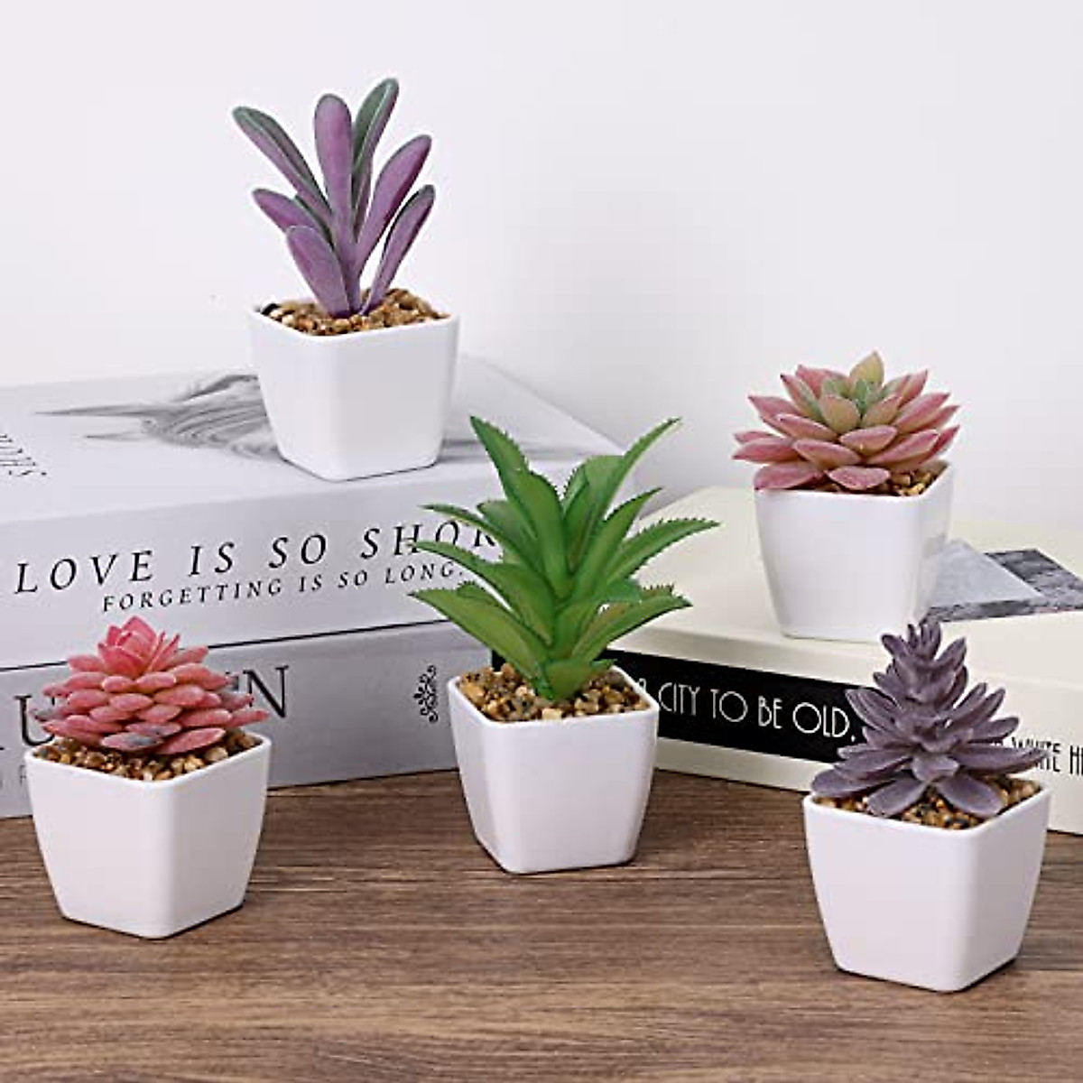 CEWOR 9pcs Artificial Succulent Plants in Pots, Faux Succulents Small Potted Fake Plants with Plastic Pots for Office Home Desk Shelves Bedroom Decoration