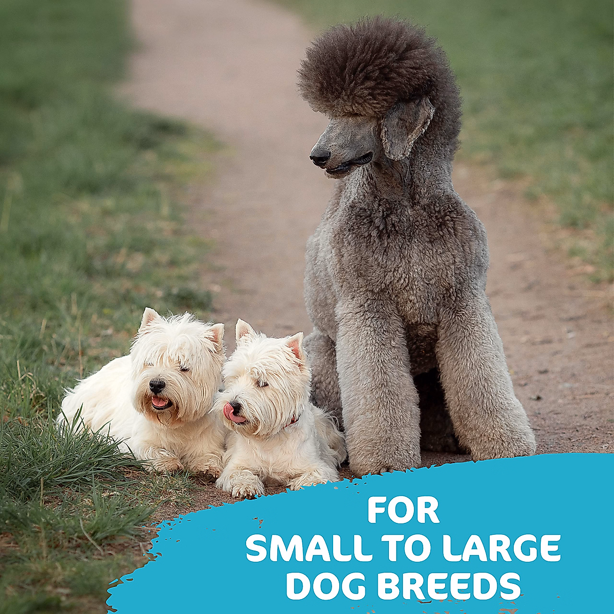 TastyBone Dental Bone Dog Chew Toy (One Size) (Cinnamon Mint)