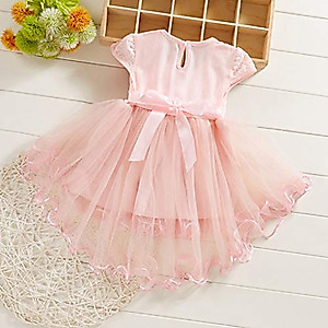 Krogubis 0-2T Baby Girls Floral Lace Tulle Dresses Infant Kids Flower Wedding Bridesmaid Dress Birthday Party Pageant Dress (Pink, 12-18Months), 12-18 Months