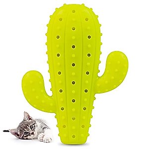 Pet Craft Supply Cactus Interactive Cat Toy Chew Toy Teeth Cleaning Bite Resistant 100% Natural Rubber with Bonus Catnip and Silvervine Bags for Kittens and Adult Cat