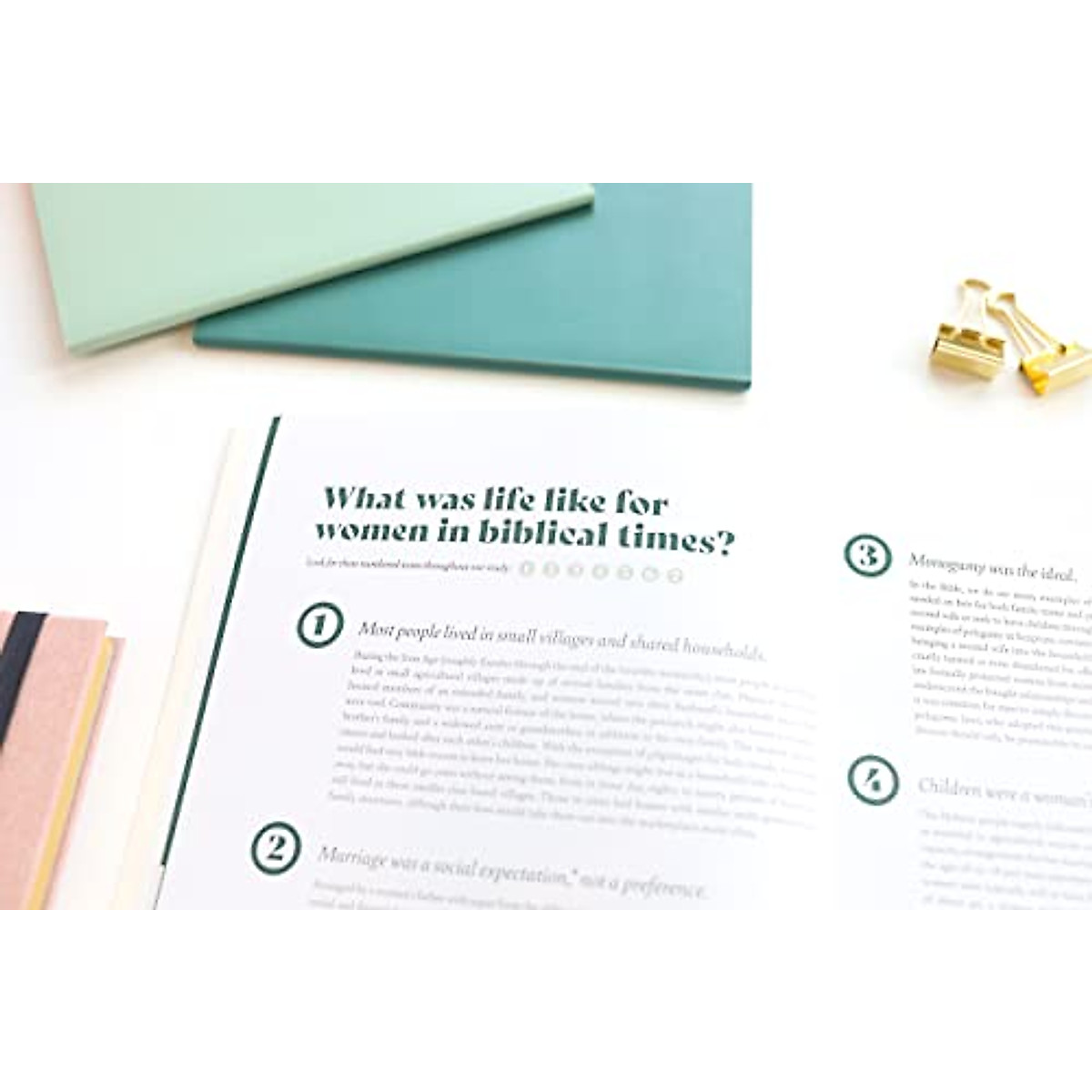 Brave and Beloved: A Bible Study for Women Exploring the Wisdom and Diversity of Women in the Bible