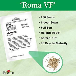 Burpee 'Roma VF' Heirloom | Red Paste Tomato | 250 Seeds