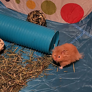 MUYG Plastic Hamster Tunnels,Small Animal Tubes,Foldable Exercising Training Ferrets Fun Tunnel Hamsters Hideout Tube 15 Pcs Pet Chew Toys for Guinea Pigs Chinchillas Rats Gerbils (Blue)