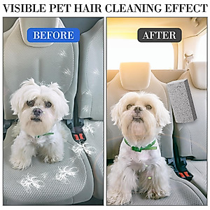 Loopeer 2 Pcs Pet Hair Remover Pumice Stone for Dog Cat Hair Removal Cleaning Pet Fur Stone 6 Inch Dog Fur Cleaning Tool for Car Interior Bedding Carpet Couch Furniture(3.74 x 2 x 1.6 in)
