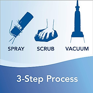 BISSELL Heavy Traffic Carpet Foam, Gain, 22oz (Pack of 4), 14399