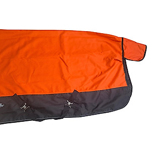 1200D Waterproof and Breathable Horse Sheet TGW Rding Horse Blanket (76", Wine)