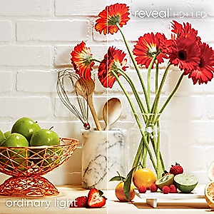 GE Reveal LED Light Bulbs, 60 Watt, G25 Globe Bulbs, Medium Base (2 Pack)