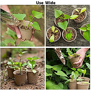 Baxrou 120 Packs 3.15 Inch Peat Pots Plant Starters for Seedling, Biodegradable Herb Seed Starter Pots Kits, Seedling Pots, Garden Germination Nursery Pot wit 30 Plant Labels, 2 Transplant Tools.