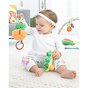 Skip Hop Baby Stroller Toy, Farmstand Grow & Play Jitter, Cactus
