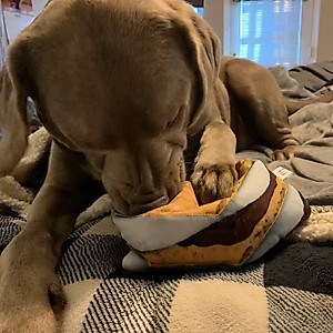 Doggijuana | Refillable Catnip Dog Toy | Naturally Calming | Catnip Grown in The USA (S'Mores)