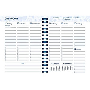 Posh: Deluxe Organizer 17-Month 2020-2021 Monthly/Weekly Planner Calendar: Garden Creatures