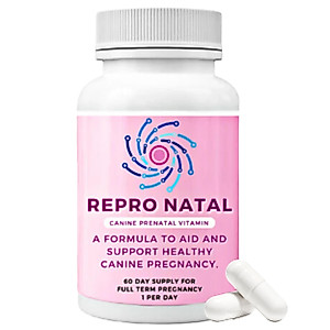Horizon Animal Care Canine Prenatal Multi-Vitamin Capsules - 60-Day Supply to Aid Full-Term Pregnancies and Promote Optimal Health for Expecting Dogs - ReproNatal™ Dog Supplement