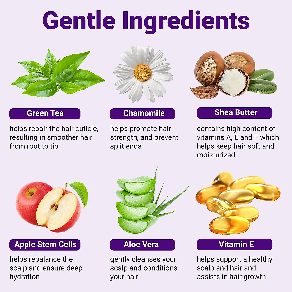 Ongaro Beauty Organic Sulfate Free Shampoo - Hydrating Hair Solution with Aloe Vera, Probiotic Extracts, Peptides & Apple Stem Cells - Promotes Healthy Hair for Dry, Oily, and Colored - 12 fl oz