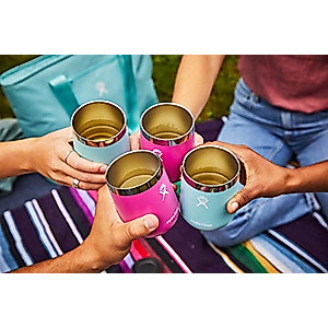 Hydro Flask Wine Tumbler & Bottle - Insulated Alcohol Travel Cup,10 fluid ounce