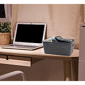 Cand Plastic Storage Baskets/Bins, 4-Pack, Gray