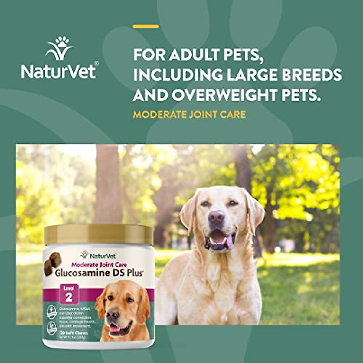 NaturVet – Glucosamine DS Plus - Level 2 Moderate Care – Supports Healthy Hip & Joint Function – Enhanced with Glucosamine, MSM & Chondroitin – for Dogs & Cats–120 Soft Chews