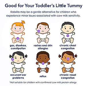 Kabrita Goat Milk Toddler Formula Powder, 28 oz.