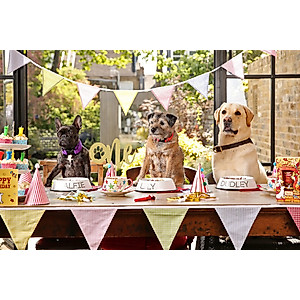 AHAORAY Paw Print One Cake Topper - Gold Glitter Pet Dog First Birthday Cake Decorations Supplies - Pet Puppy Theme Party Cake Decor, for Pet Birthday Party, Baby Shower Favors or Photo Booth Props