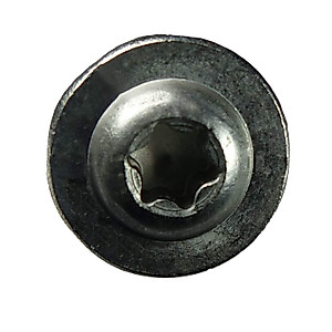 Jake Sales #15 x 6" Construction Lag Screw Stainless Steel T-30 Torx/Star Drive Heavy Duty Lag Screw Far Superior to Common Lag Screws (100 Screw Count) Modified Truss Washer Head